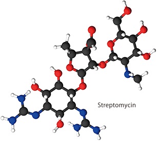 LC/MS/MS Method Package for Aminoglycoside Antibiotics : Shimadzu SOPS