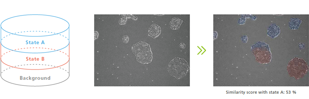 Cell Pocket Ver.2 - Applications : Shimadzu SOPS