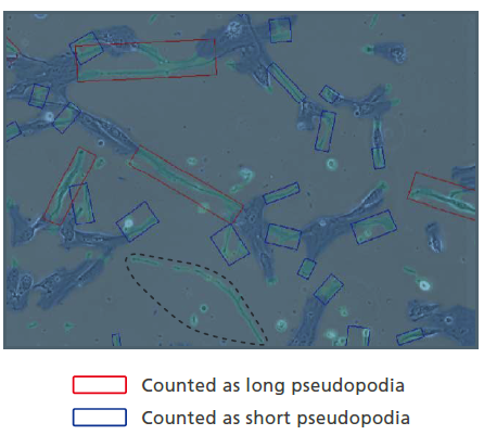 Cell Pocket Ver.2 - Options : Shimadzu SOPS