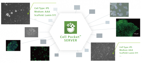 CELL POCKET : SHIMADZU (Shimadzu Corporation)